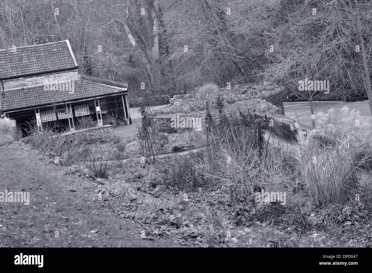 Whitwood High Resolution Stock Photography and Images - Alamy