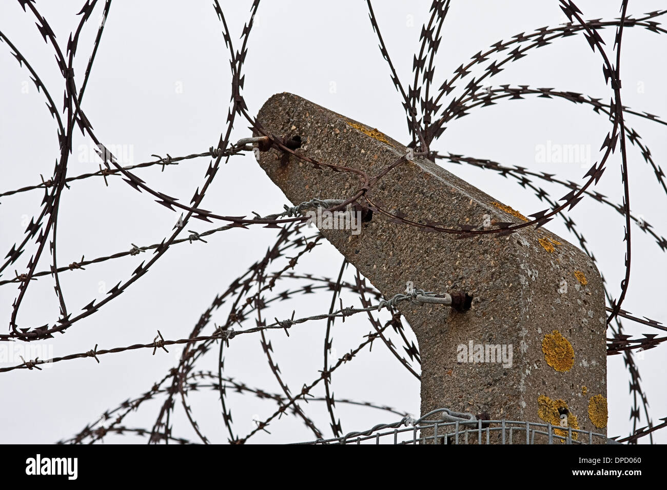 Razor and barbed wire security fence Stock Photo - Alamy