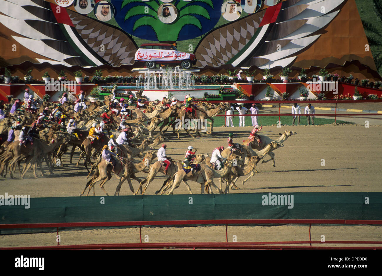 United Arab Emirates, Gulf States, DUbai, Camel racing Stock Photo - Alamy