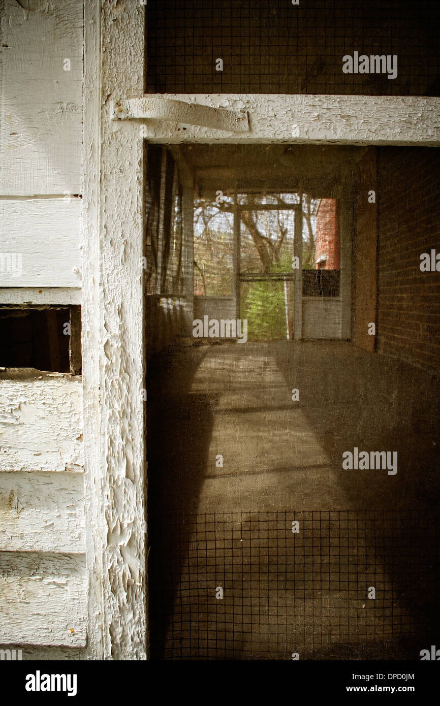 Looking through the door of an old screen porch door Stock Photo - Alamy