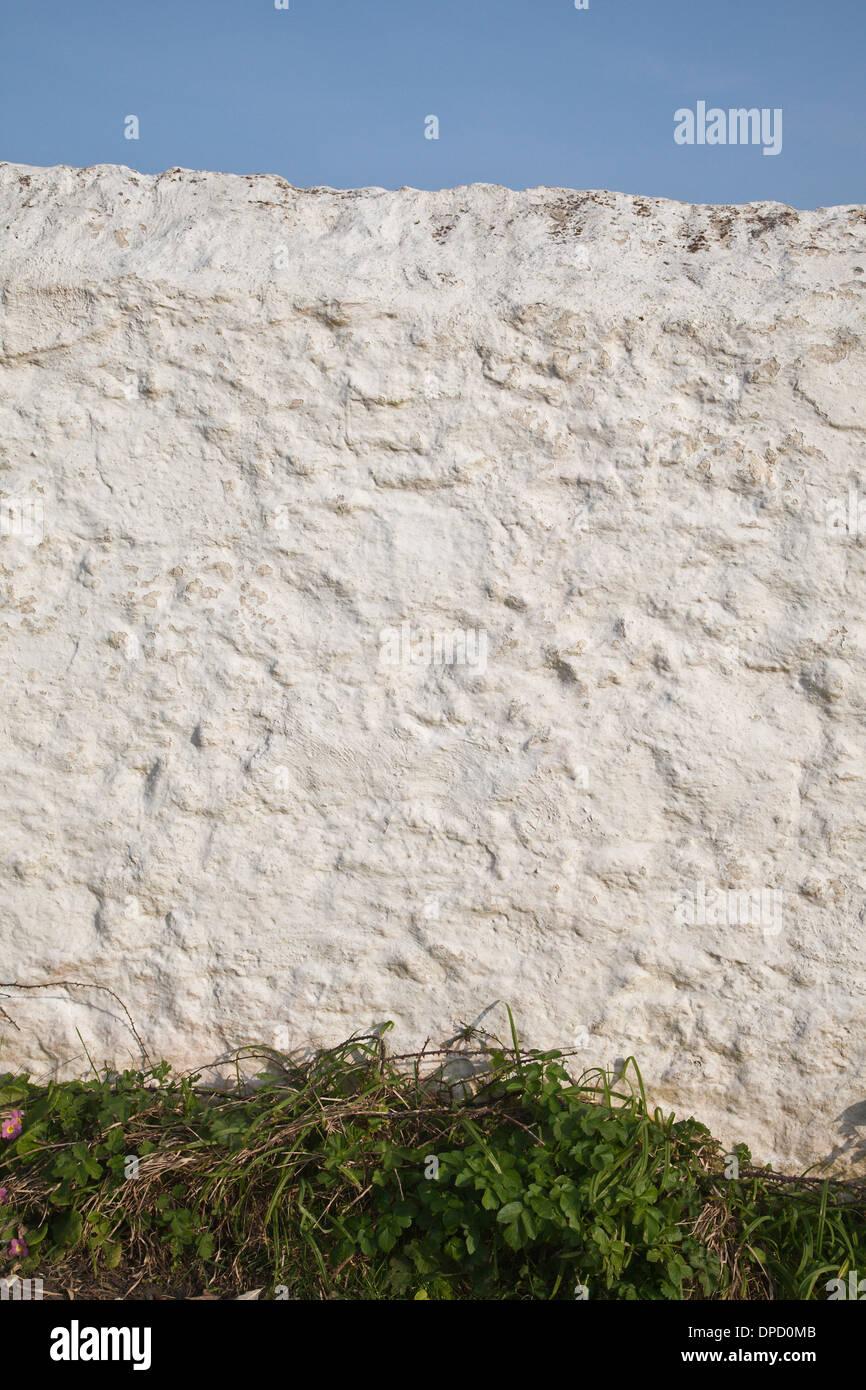 A whitewashed garden wall, Cornwall Stock Photo - Alamy