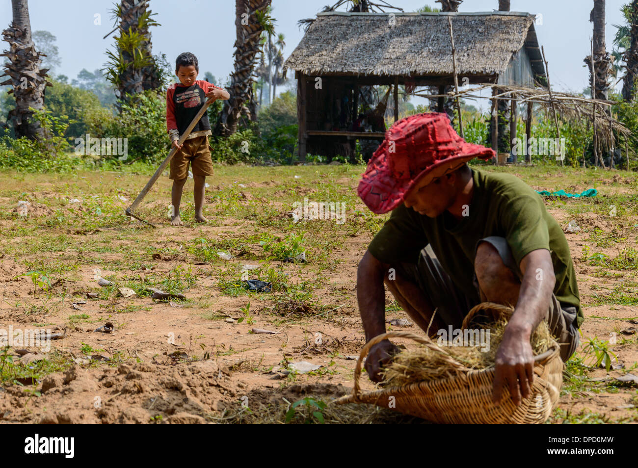 Rural area of cambodia hi-res stock photography and images - Alamy