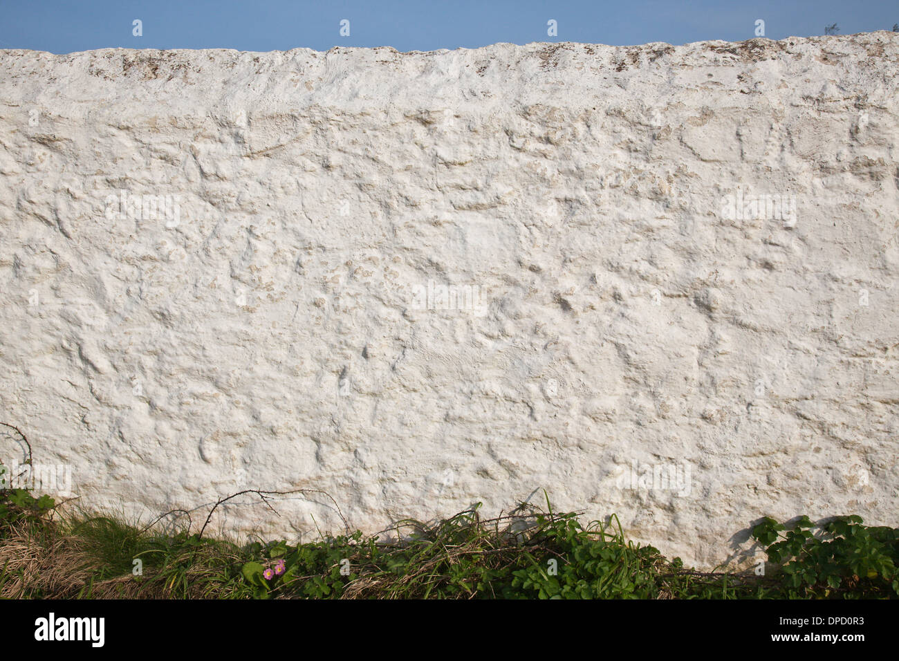 A whitewashed garden wall, Cornwall Stock Photo - Alamy