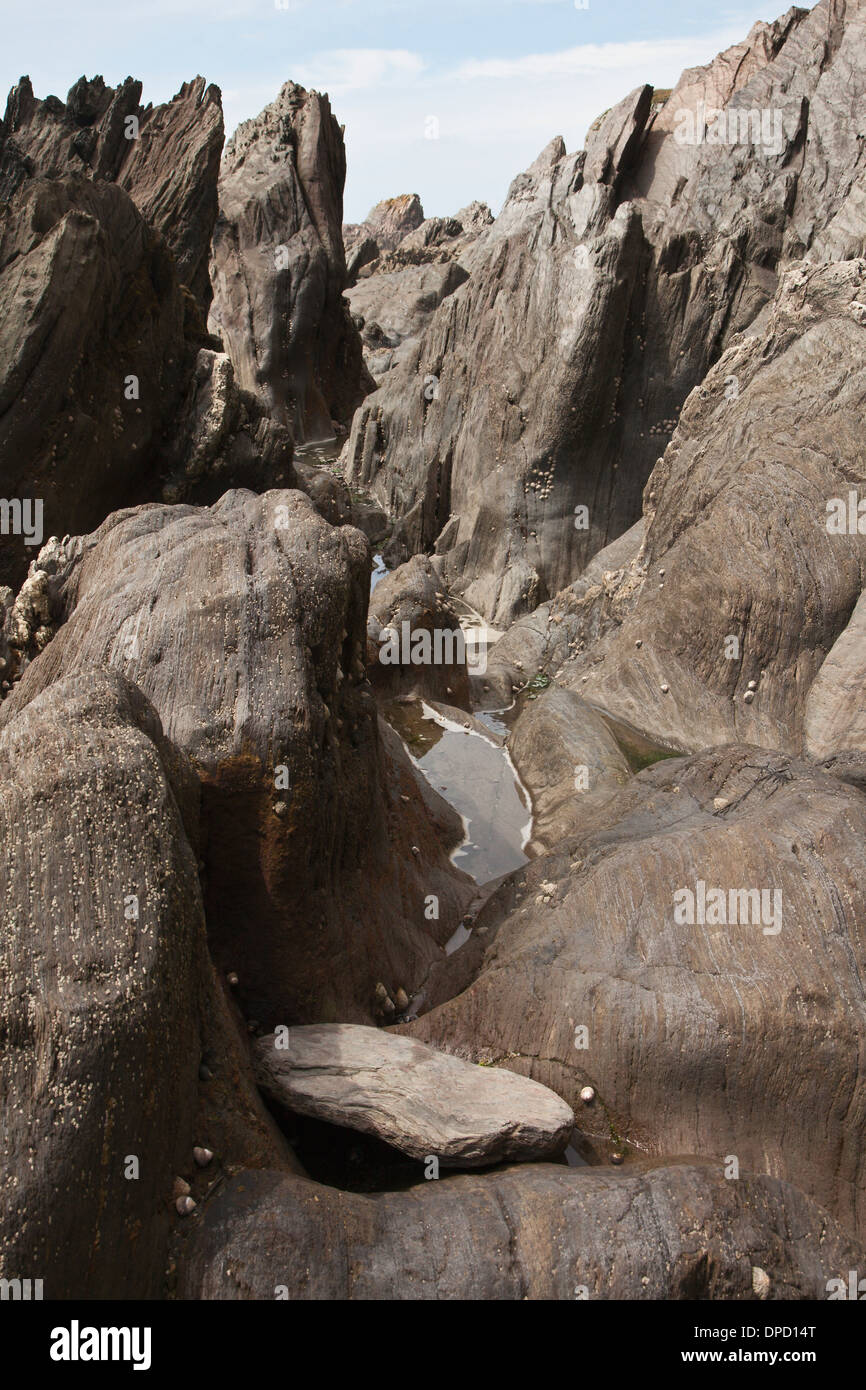 Sculptural rocks at Ayrmer Cove, Devon, England, UK Stock Photo - Alamy