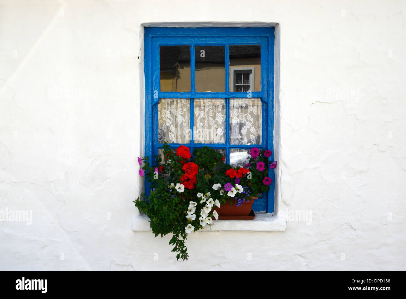 blue wood wooden frame window white wall flowers container windowsill ...