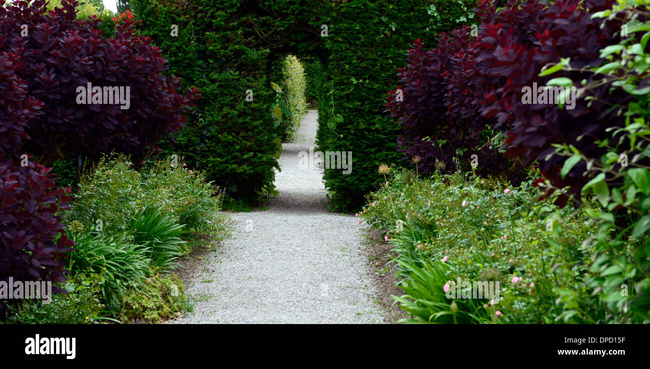 Yew hedge with arch hi-res stock photography and images - Alamy