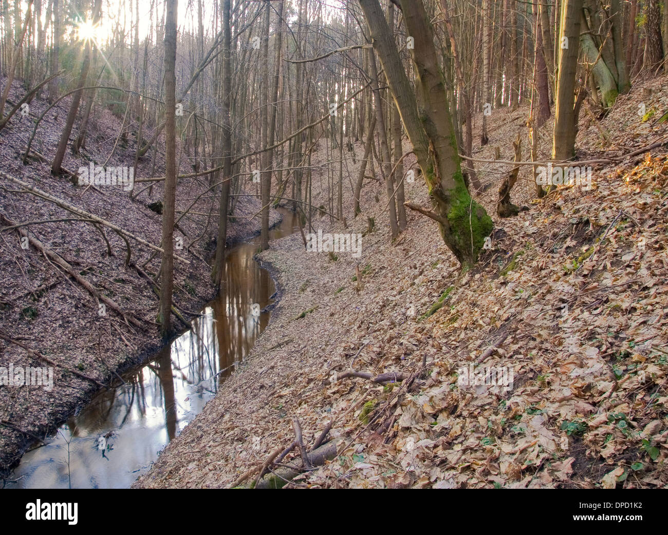 landscape with stream Stock Photo - Alamy