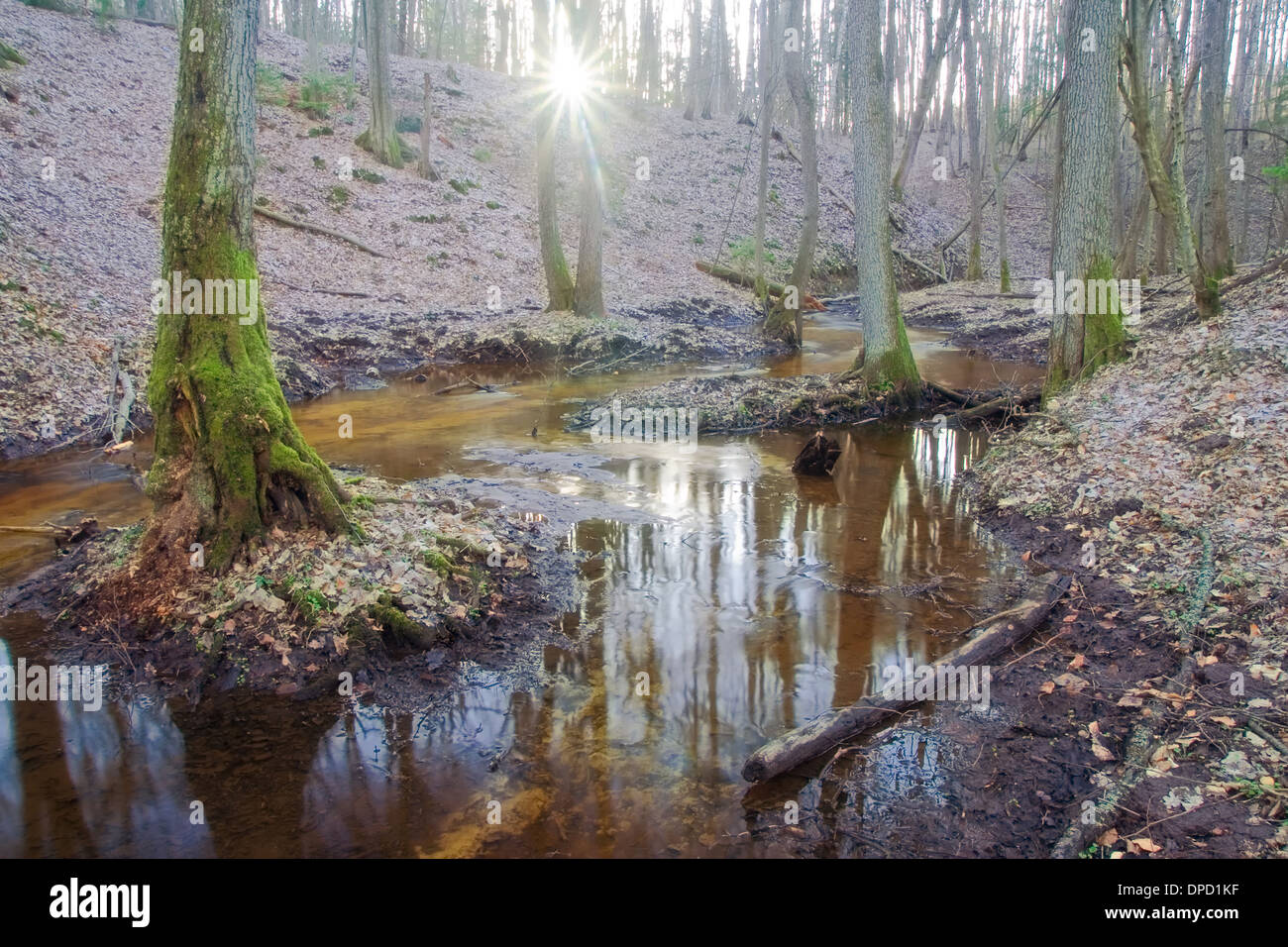 landscape with stream Stock Photo - Alamy