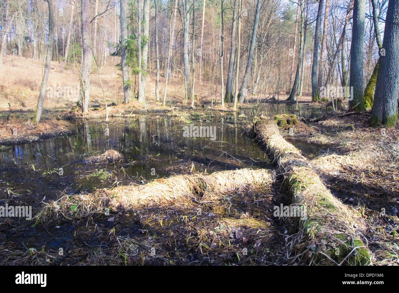 landscape with stream Stock Photo - Alamy