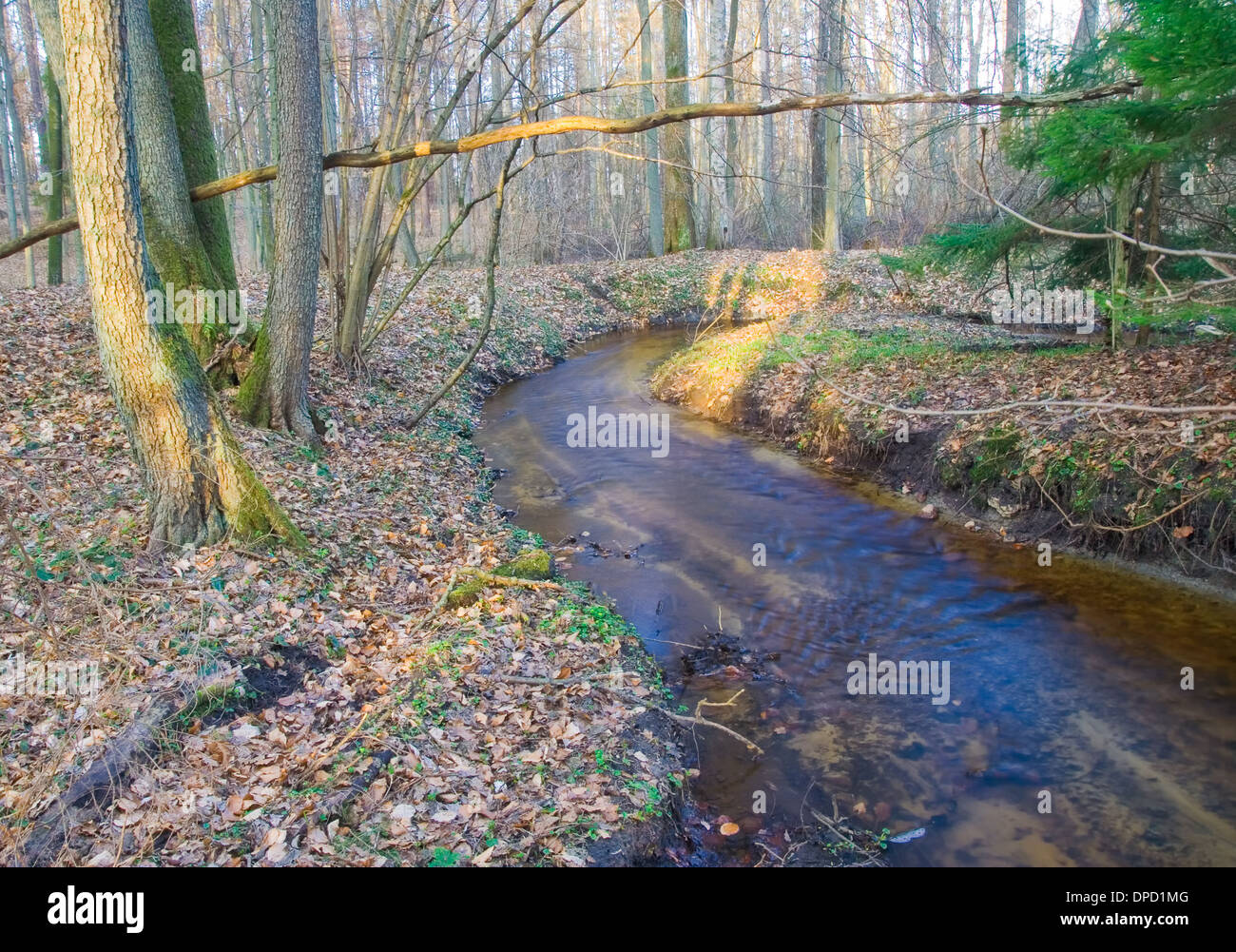 landscape with stream Stock Photo - Alamy