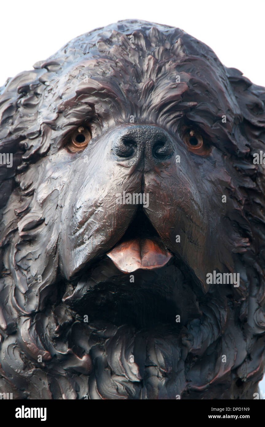 Seaman dog statue hi-res stock photography and images - Alamy