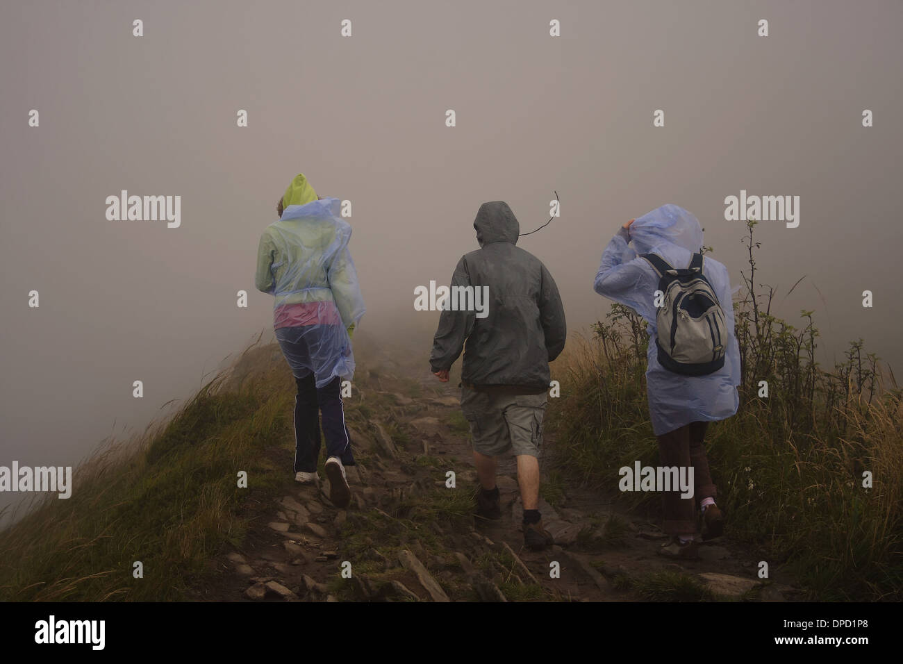 Trekking in bad weather conditions, Bieszczady mountains Stock Photo ...