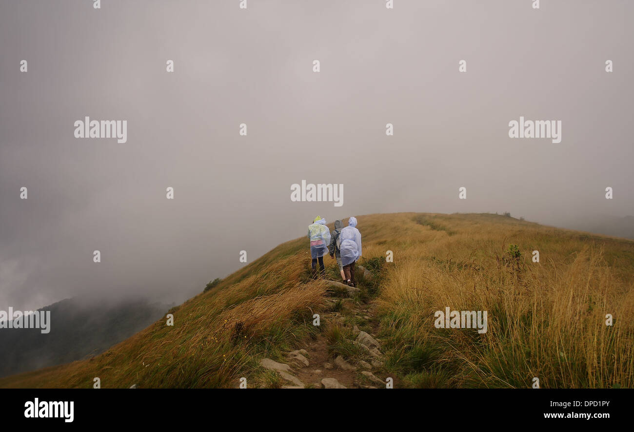Trekking in bad weather conditions, Bieszczady mountains Stock Photo ...