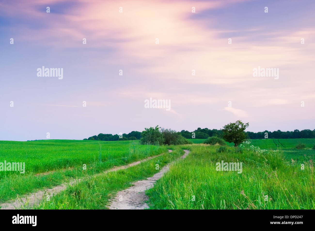 landscape with rural sandy road Stock Photo - Alamy