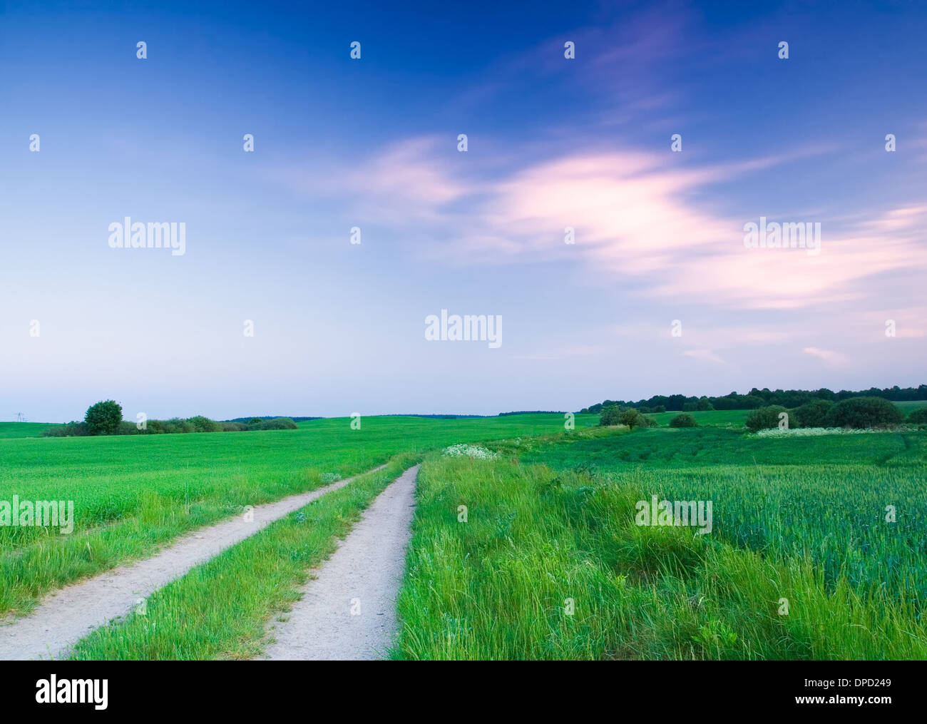 landscape with rural sandy road Stock Photo - Alamy