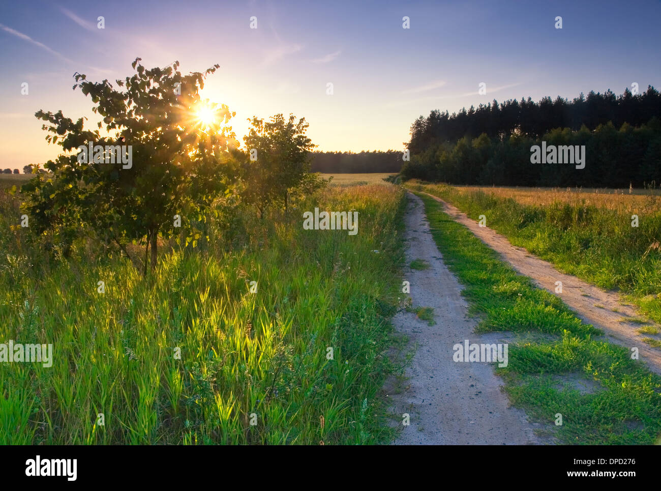 landscape with rural sandy road Stock Photo - Alamy