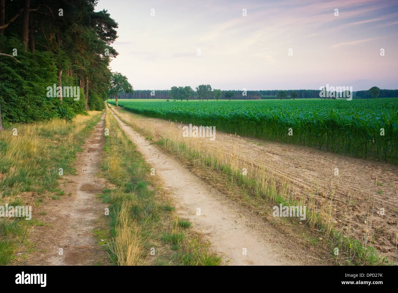 landscape with rural sandy road Stock Photo - Alamy