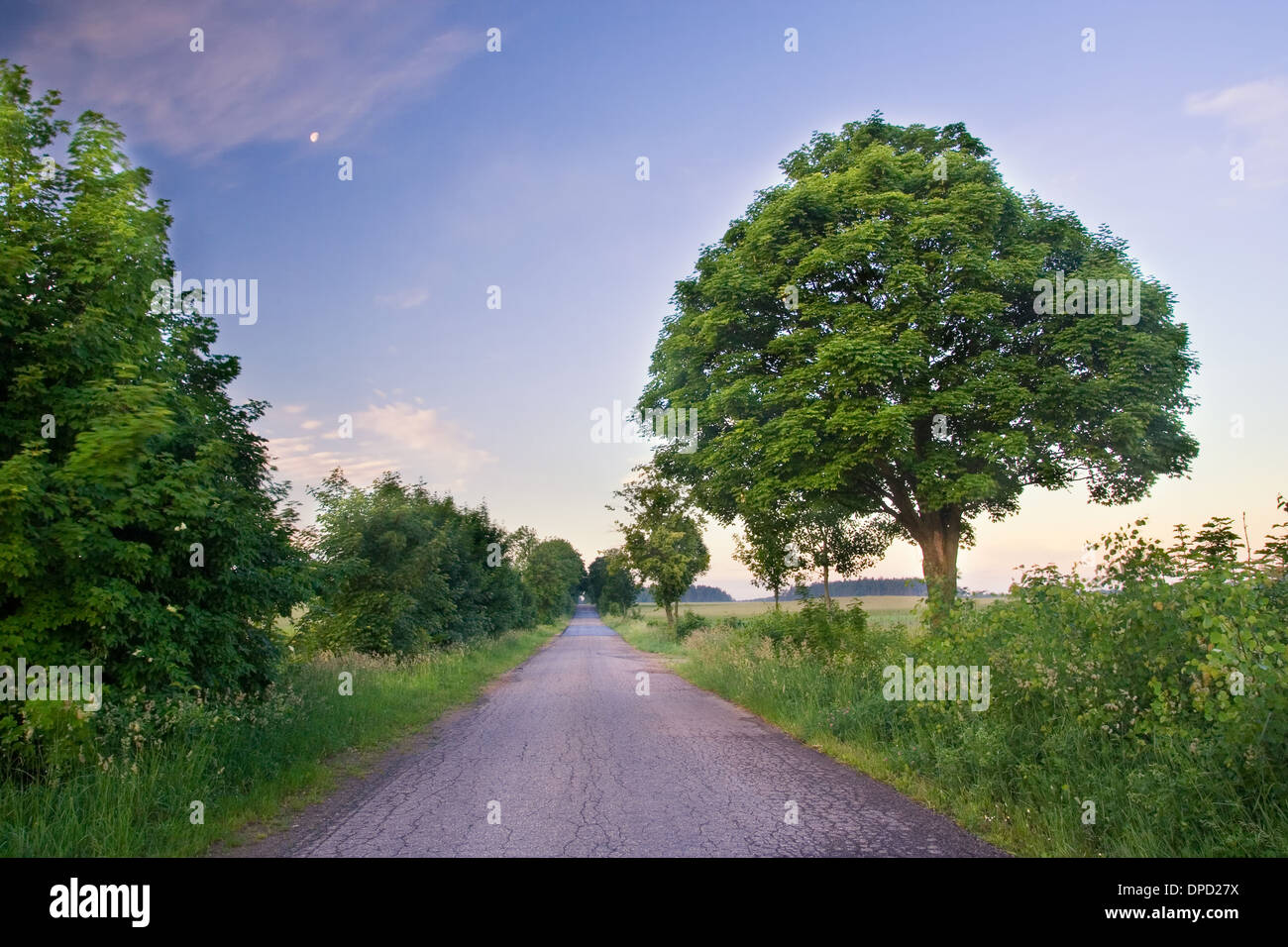 Landscape with asphalt rural road Stock Photo - Alamy