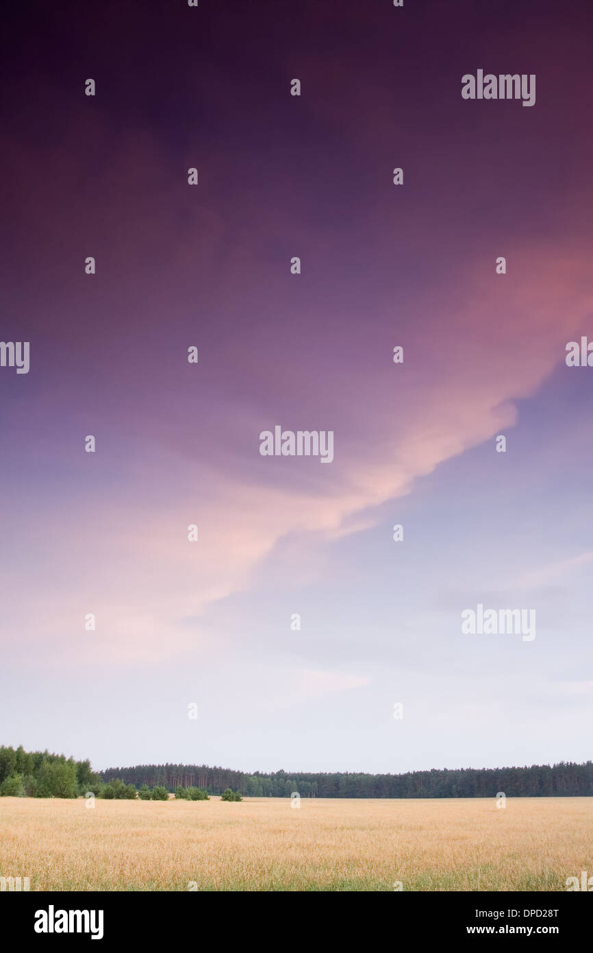 sunset with colorful sky over field Stock Photo - Alamy
