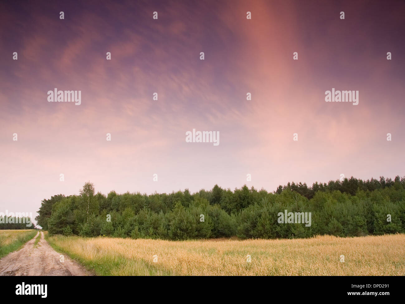 landscape with rural sandy road Stock Photo - Alamy