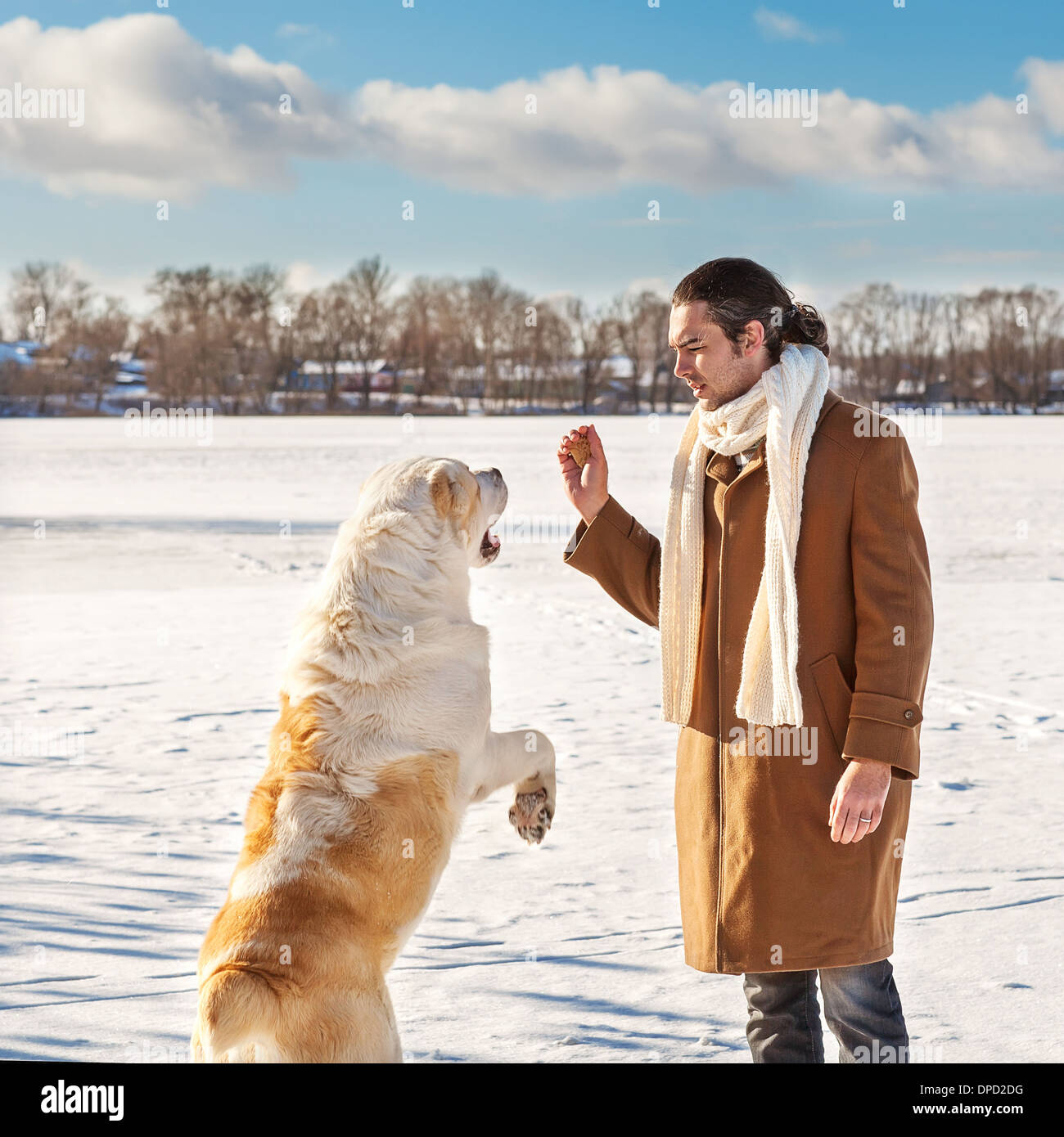 Central asian shepherd dog hi-res stock photography and images - Alamy