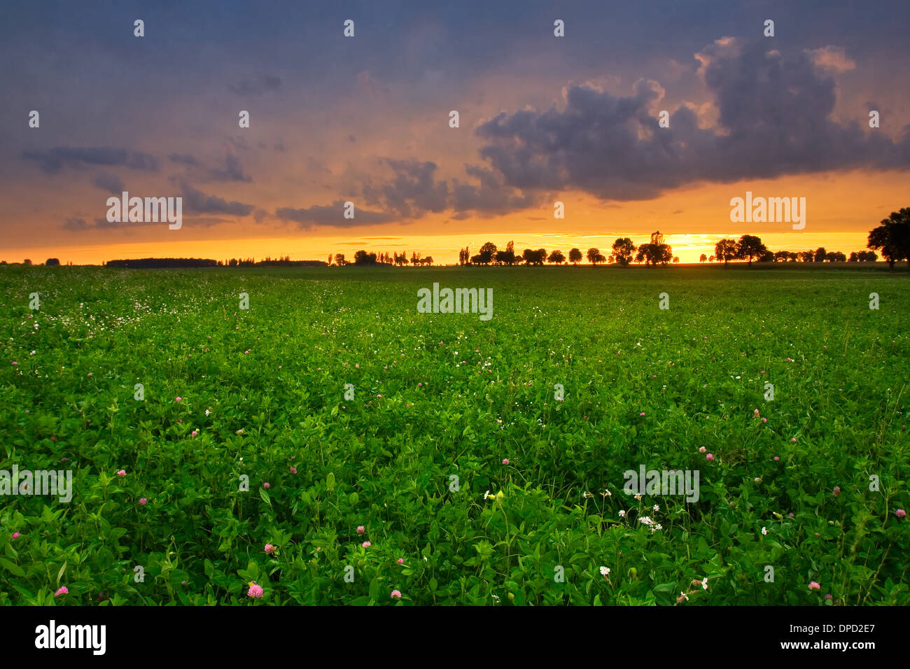 sunset with colorful sky over field Stock Photo - Alamy