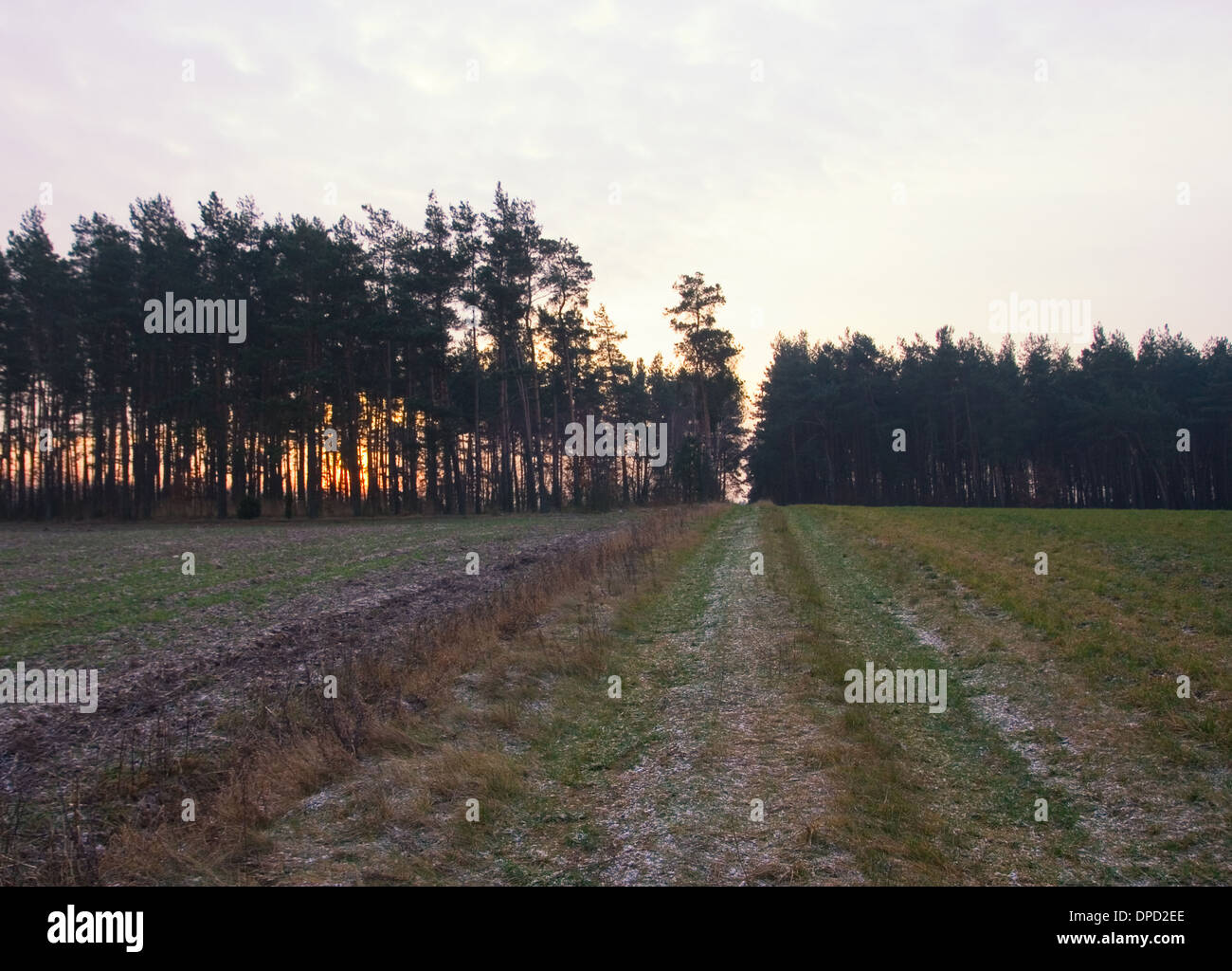 landscape with rural sandy road Stock Photo - Alamy