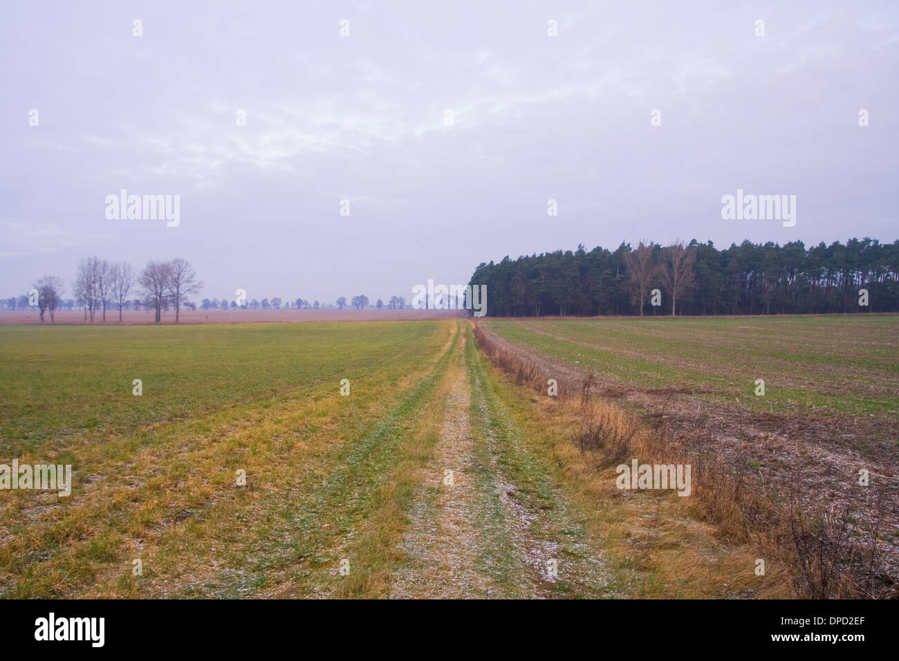 landscape with rural sandy road Stock Photo - Alamy