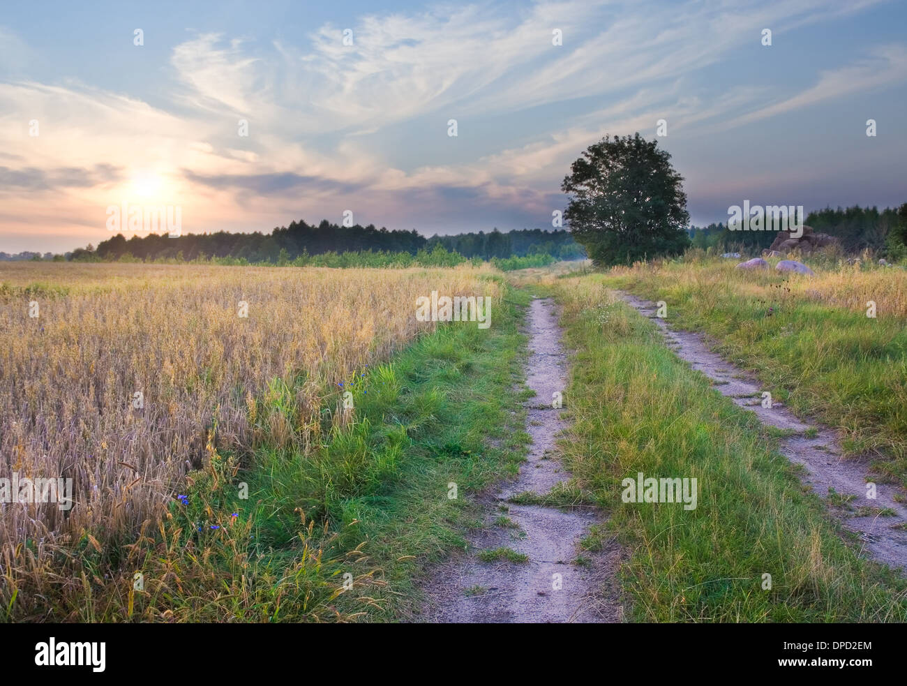 landscape with rural sandy road Stock Photo - Alamy