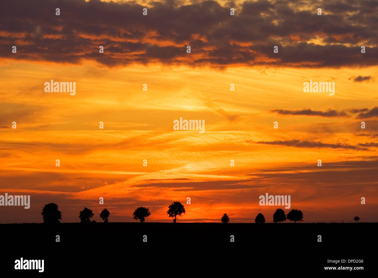 trees and sunset landscape Stock Photo - Alamy