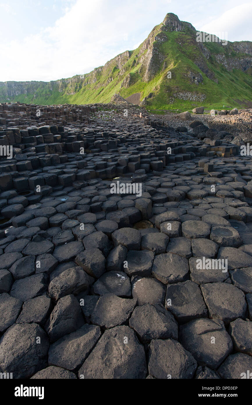 Looking down at the basalt columns that make up the world famous Giants ...