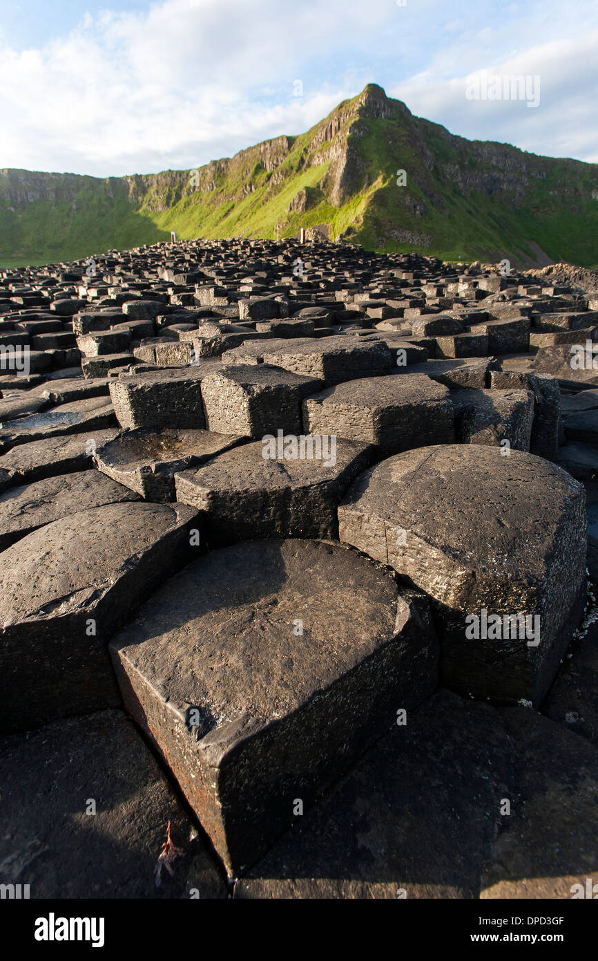 Looking down at the basalt columns that make up the world famous Giants ...