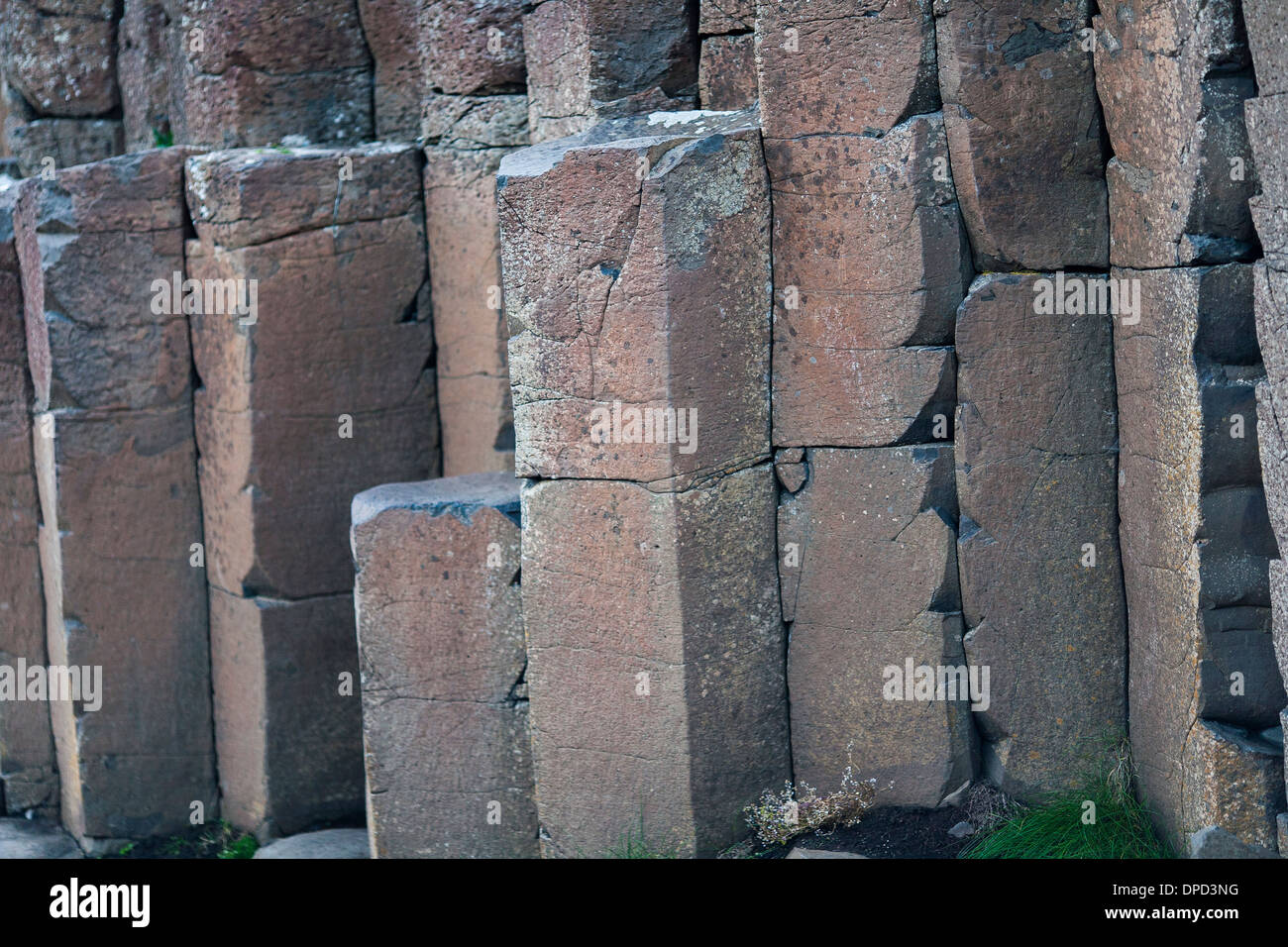 Details of a cluster of the basalt columns that make up the world ...