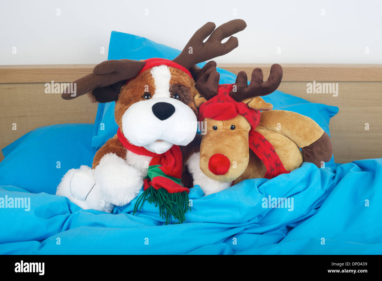Soft toy bed hi-res stock photography and images - Alamy