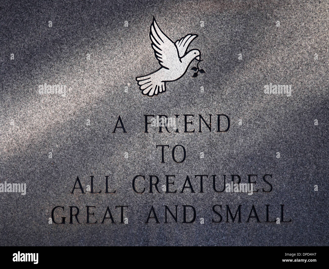 All creatures great and small hi-res stock photography and images - Alamy