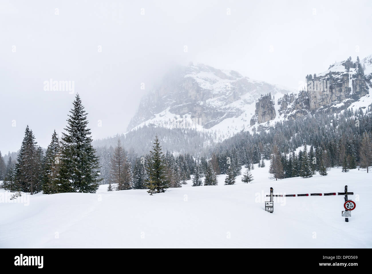 Winter landscape snowy trees hi-res stock photography and images - Alamy