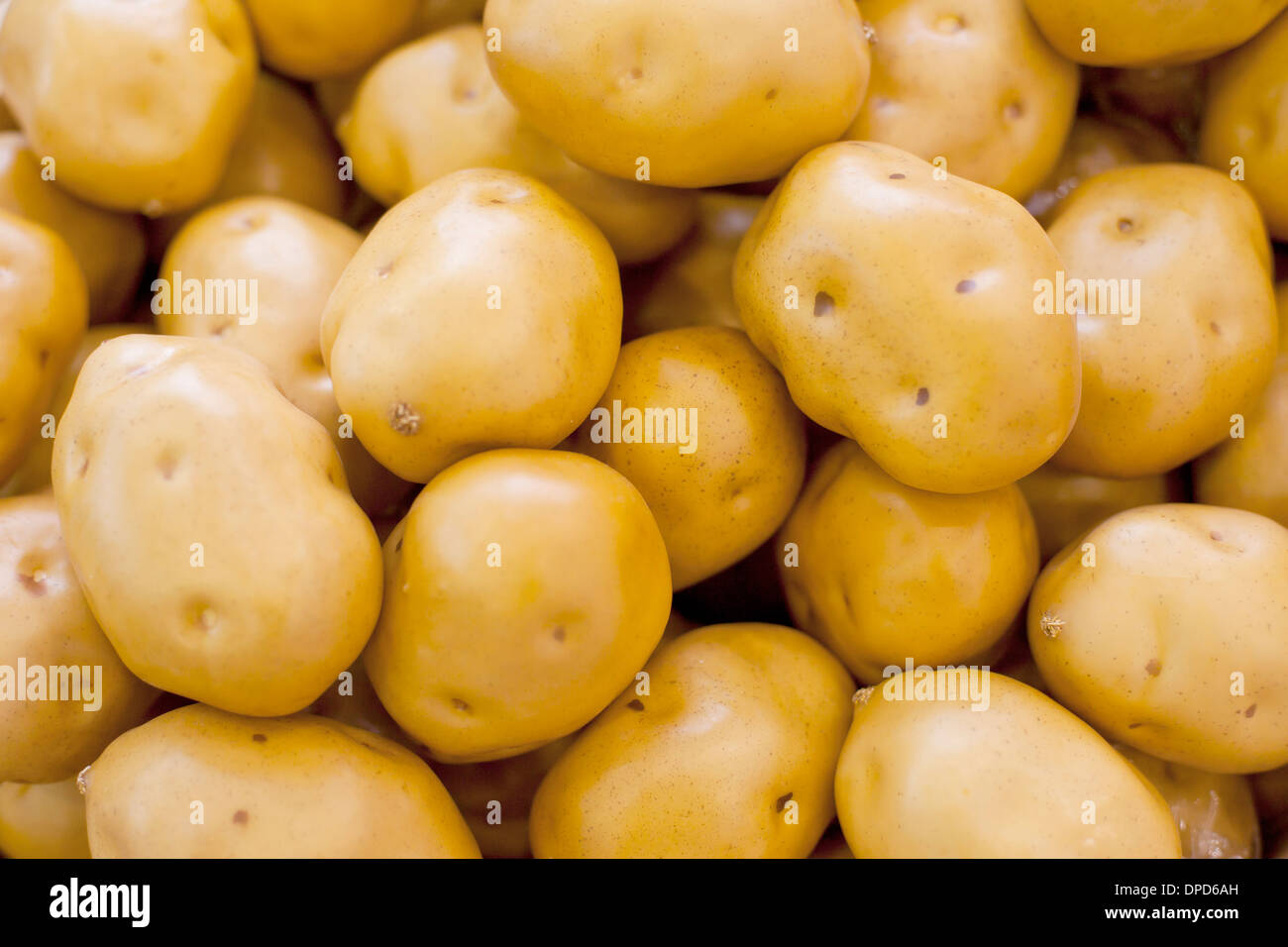 Vegetables and potatoes hi-res stock photography and images - Alamy