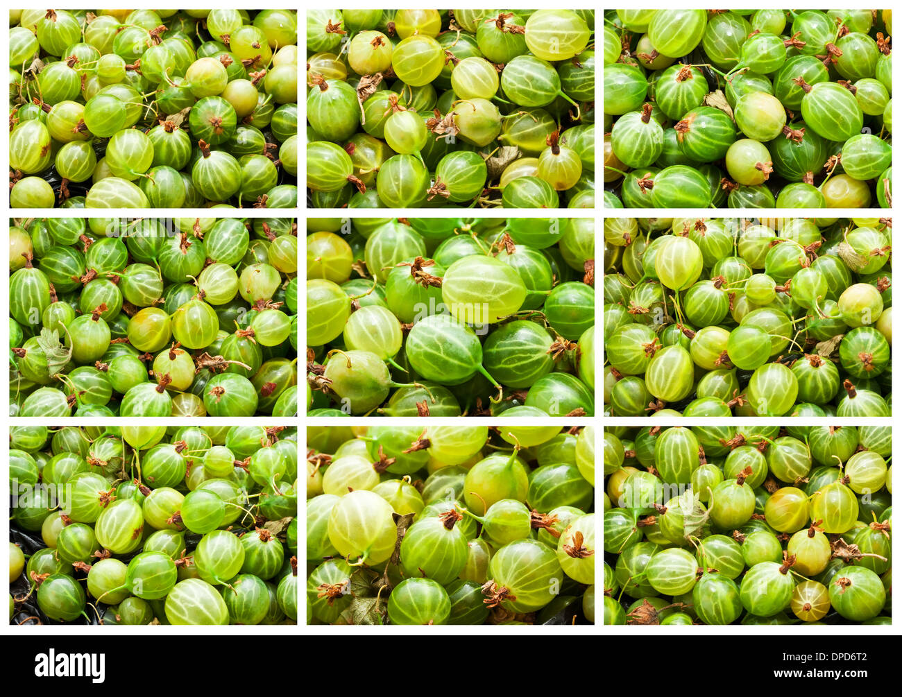 Ripe fresh organic gooseberries hi-res stock photography and images - Alamy