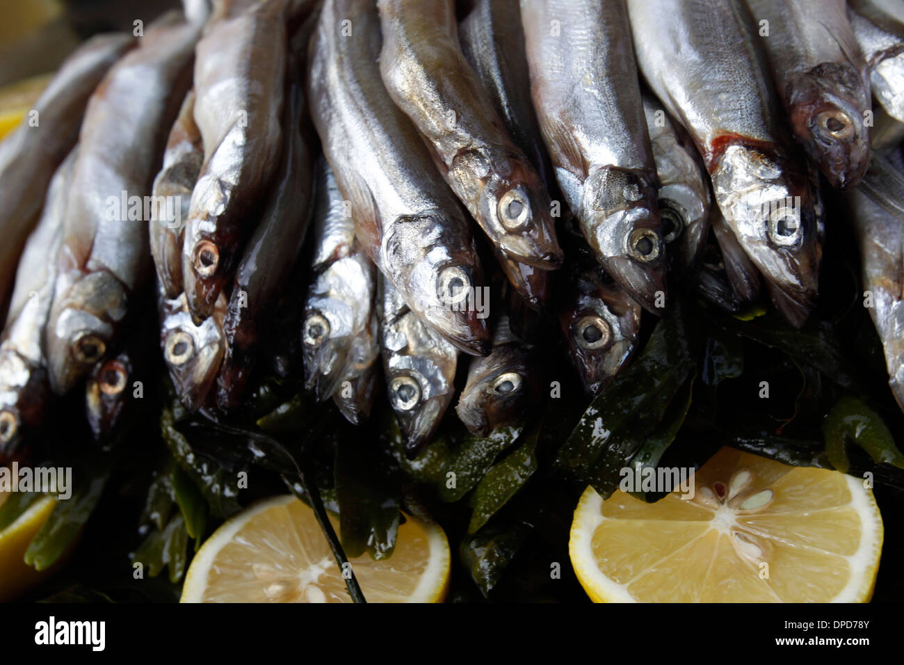 Capelin fish hi-res stock photography and images - Alamy