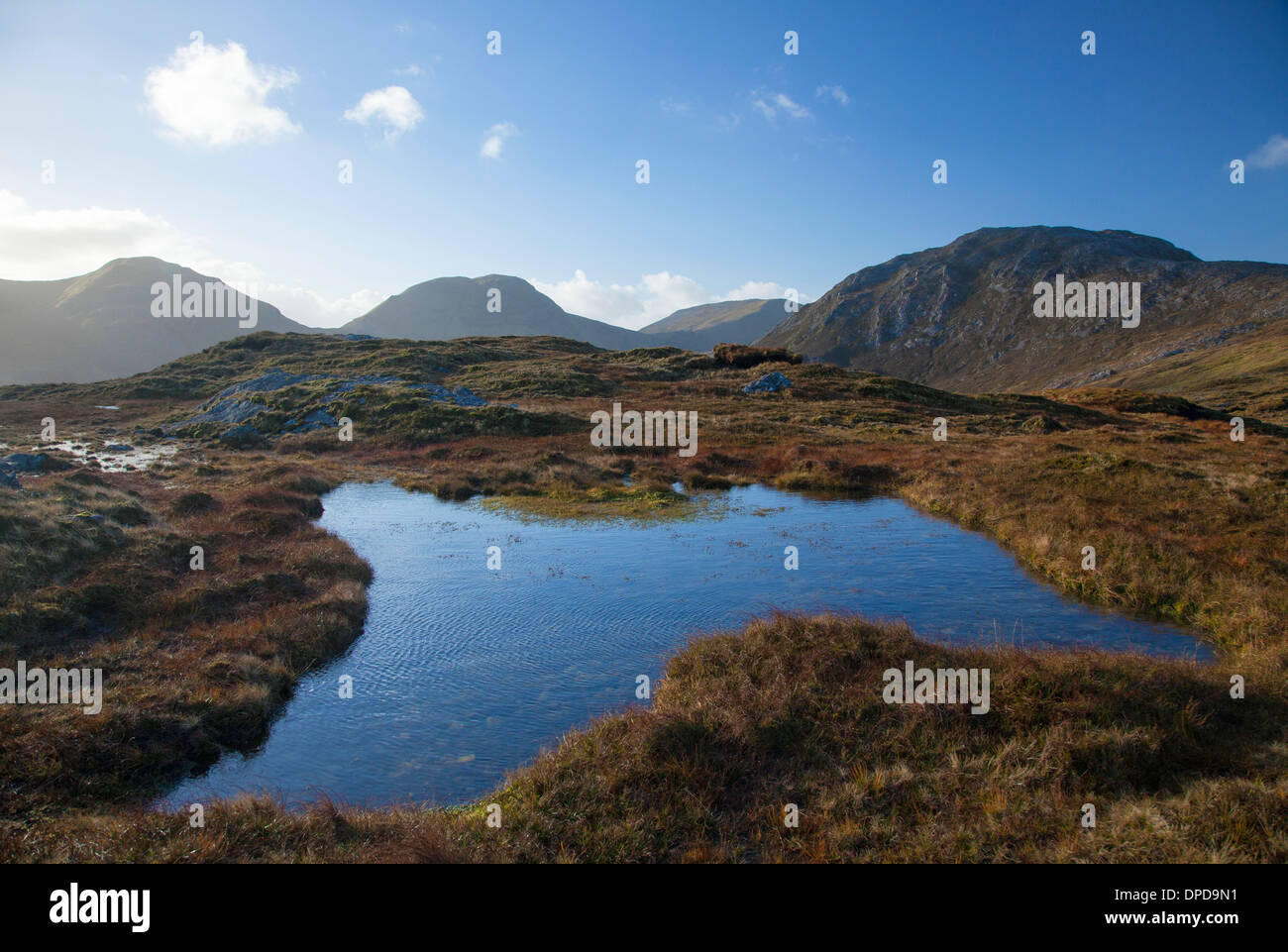Upland bog ireland hi-res stock photography and images - Alamy