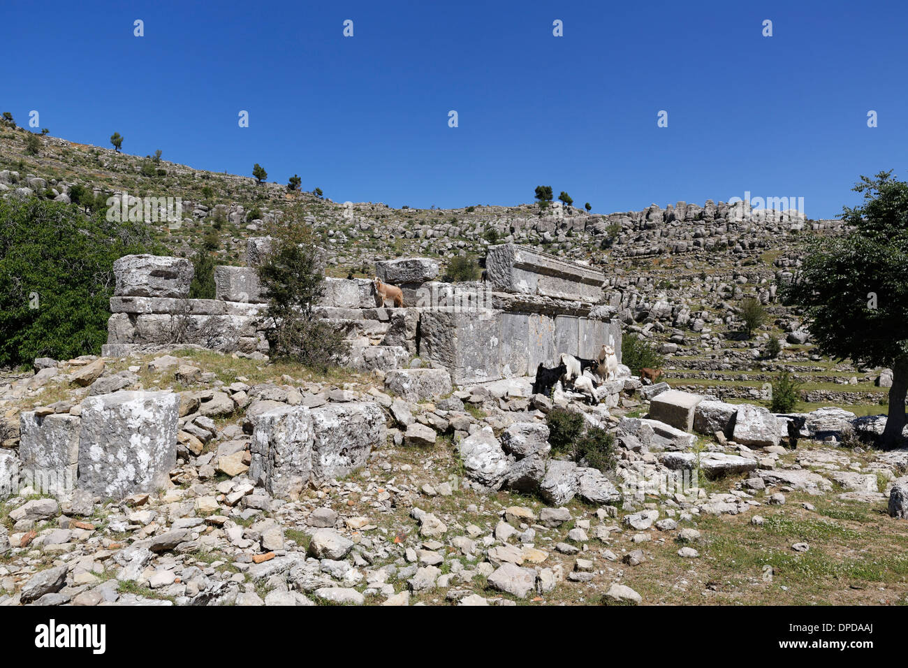 Selge pisidia hi-res stock photography and images - Alamy