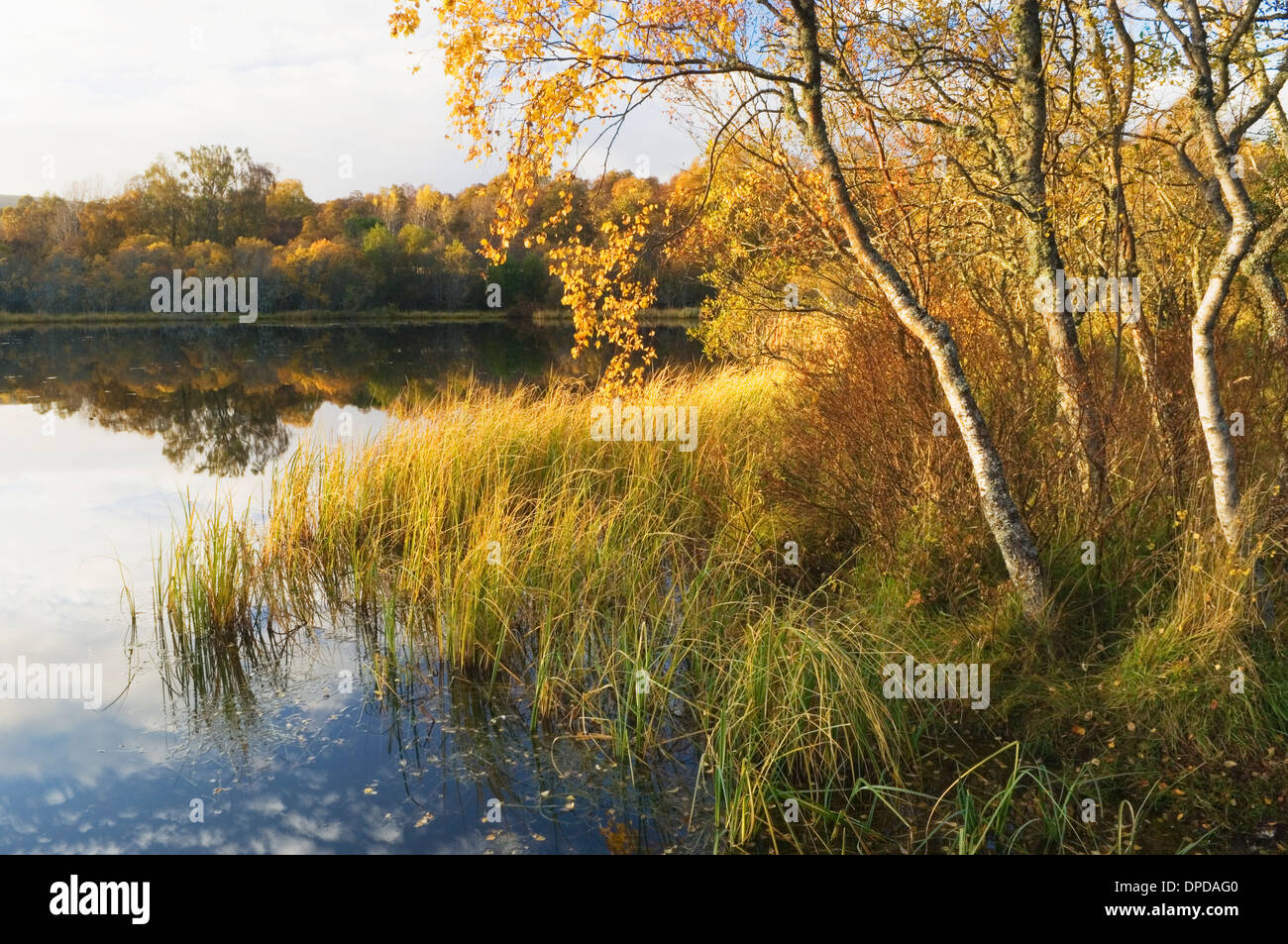 Loch Kinord - in the Muir of Dinnet National Nature Reserve, Deeside ...