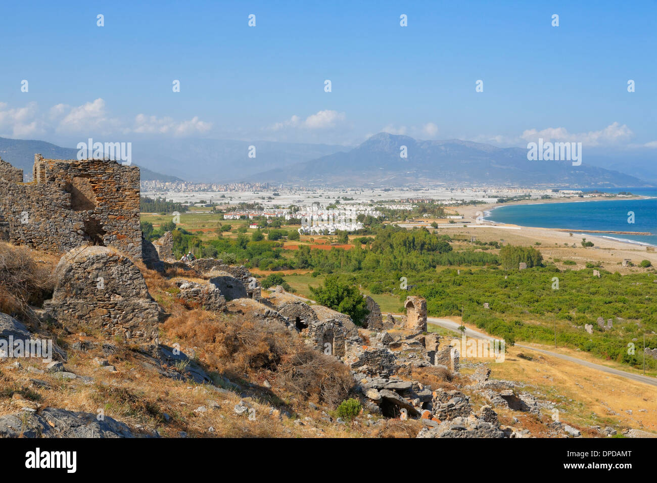 Anemurium hi-res stock photography and images - Alamy