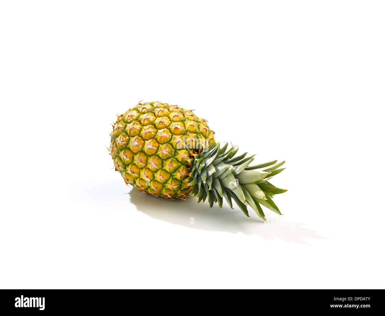 Pineapple fruit ananas sativus hi-res stock photography and images - Alamy
