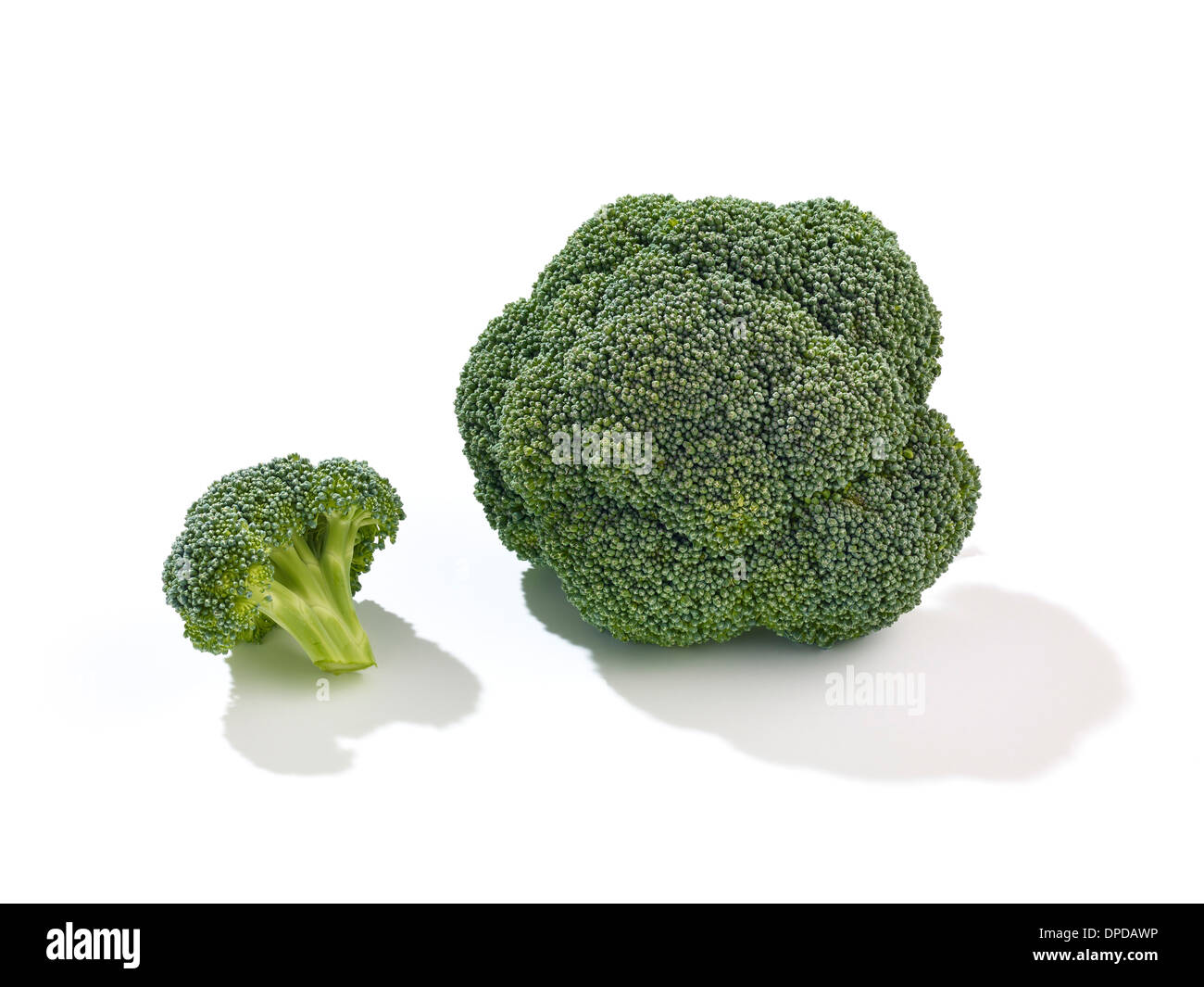 Broccoli (Brassica oleracea Stock Photo - Alamy
