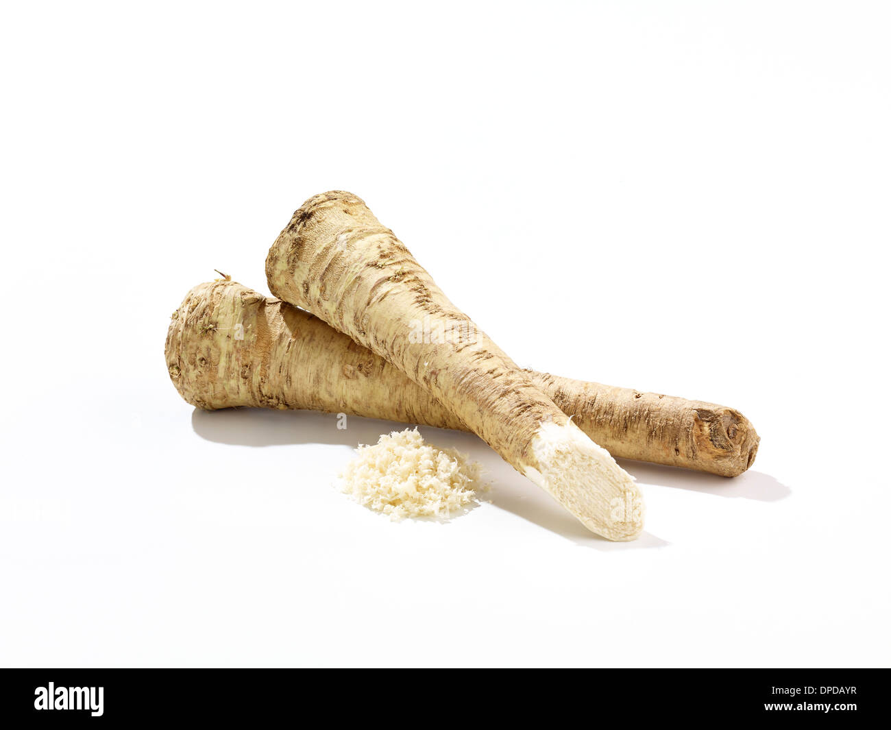 Two horse radishes (Armoracia rusticana Stock Photo - Alamy