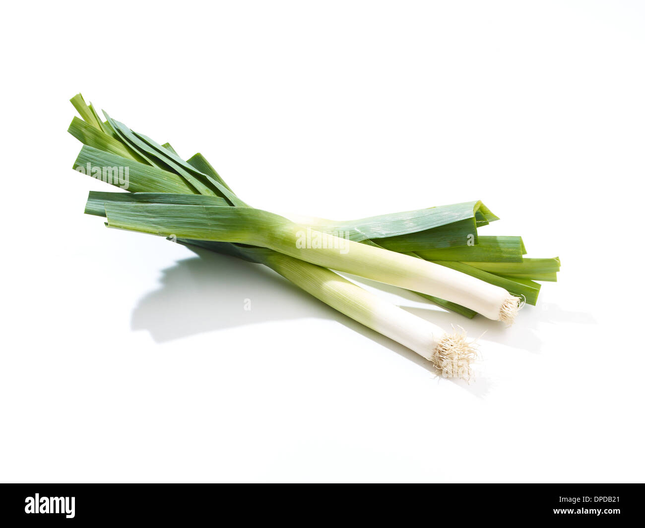 Three leeks (Allium ampeloprasum), studio shot Stock Photo - Alamy