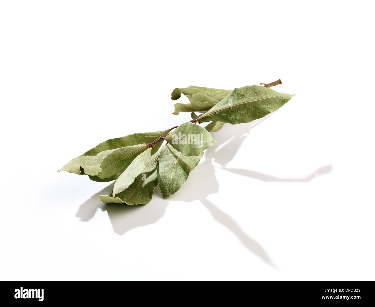 Culinary photography studio Cut Out Stock Images & Pictures - Alamy