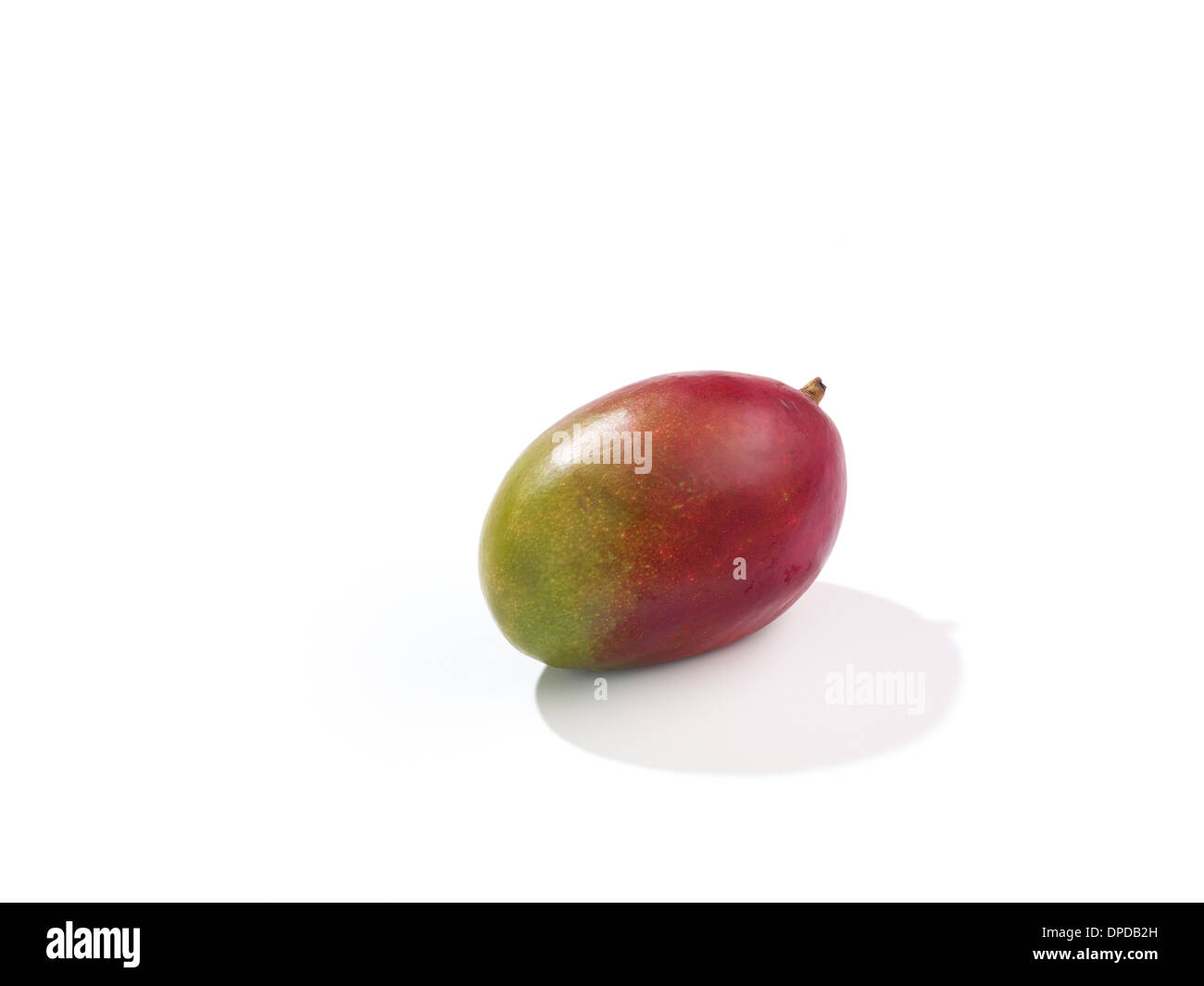 Mango (Mangifera indica L.), studio shot Stock Photo - Alamy
