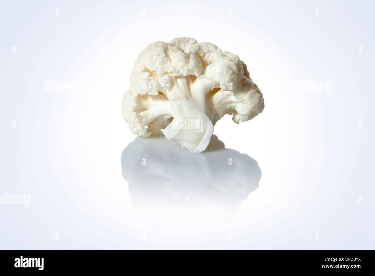 Cauliflower floret, studio shot Stock Photo - Alamy